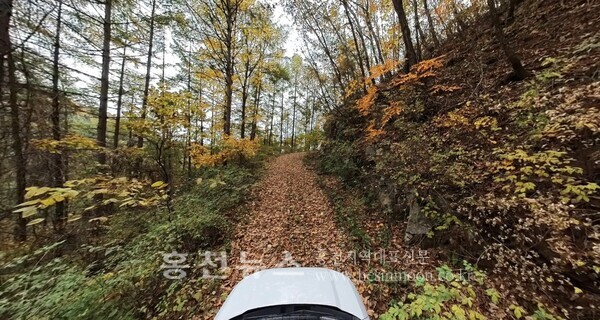 가리산 선도산림경영단지 국민활용서비스 제공